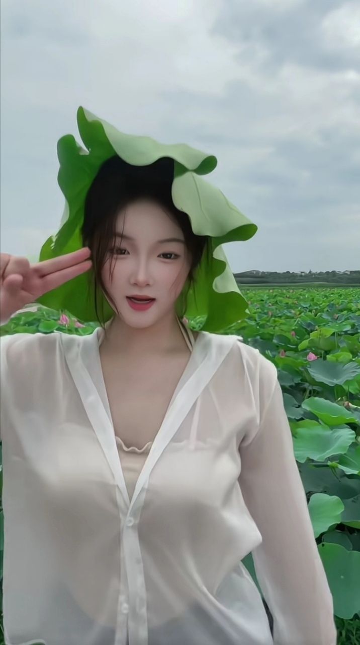 盛夏莲荷： - 文学 - 手城钟祥